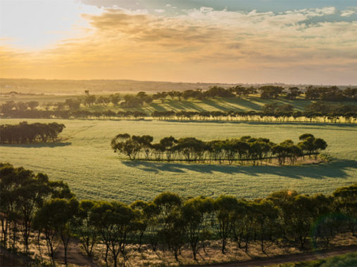 The Best Weekend Breaks You Can Take in WA