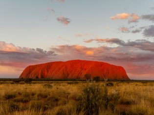 Inside Uluru's spectacular installation: Field of Light