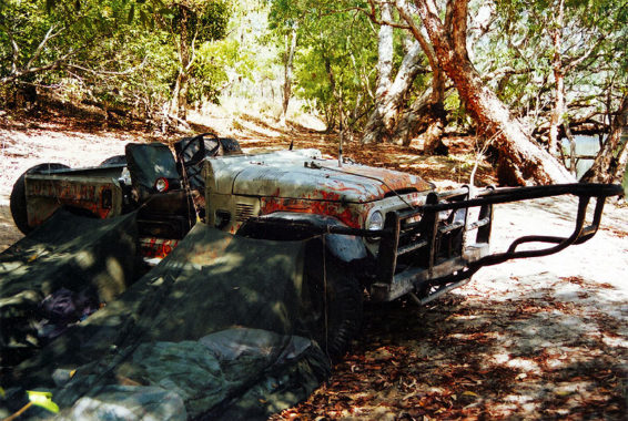 Unique Things To Do In Cape York: Catching Bulls In A Landrover