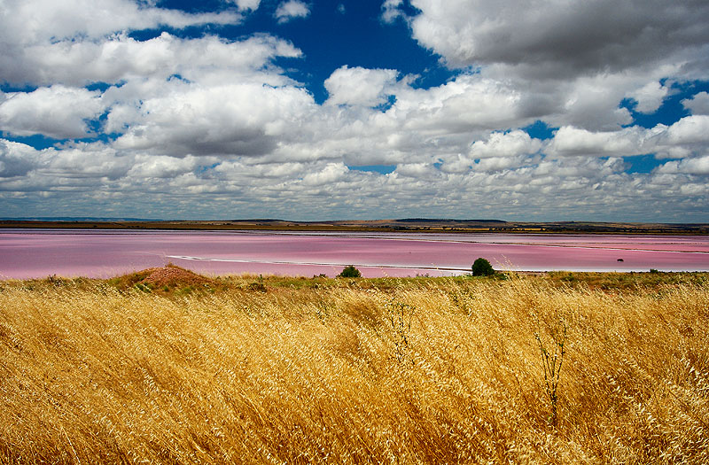 Lake Bumbunga: Another World - Australian Traveller