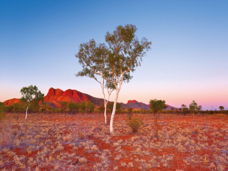 Best Northern Territory 7-14 day Itineraries for Couples, Families and ...
