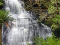 100 Incredible Travel Secrets #74 The Otway Ranges, Vic - Australian ...