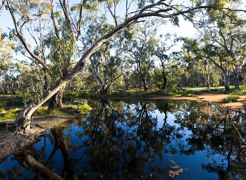 Yanga National Park: A Haven For History, Wildlife And Scenery