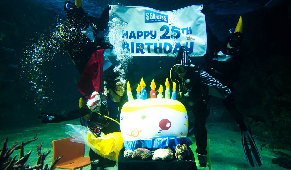 Sea Life Aquarium Birthday Party at Aaron Edwards blog