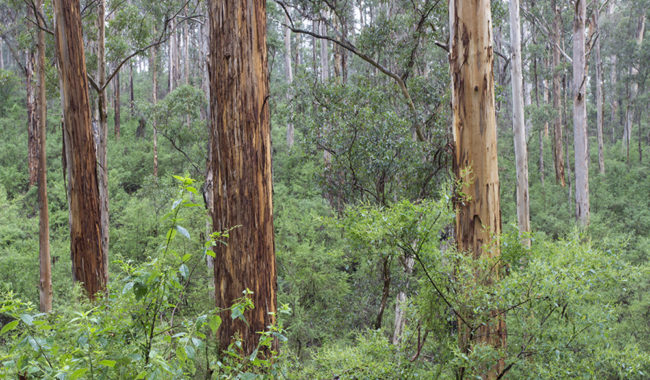Esperance to Perth Road Trip: Everything to Know