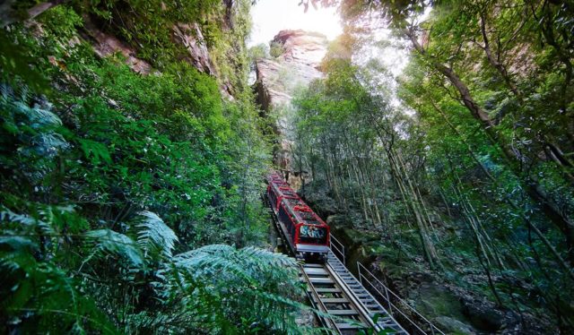 4 ways to experience an incredible Blue Mountains winter