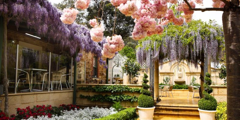 Adelaide Travel Guide & Holiday Information - Australian Traveller