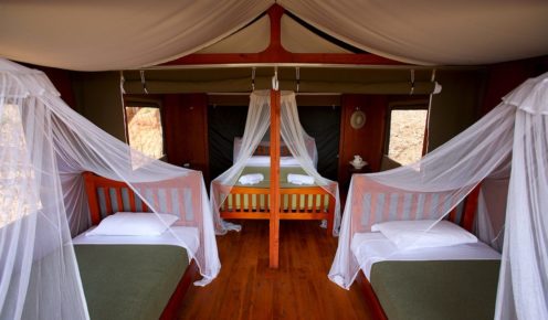 Australia's 5 Best Zoo Sleepovers