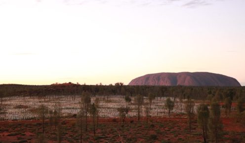 Inside Uluru's spectacular installation: Field Of Light