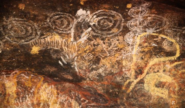 Inside Uluru's spectacular installation: Field Of Light