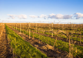 10 Incredible Things to Do in Rutherglen