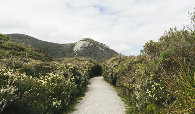 Top 10 Things to do at Wilsons Promontory