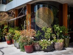 The Best Of Breakfast & Brunch in Canberra - Australian Traveller