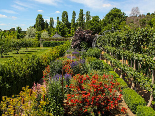 Why You Need To Visit The Picture-Perfect Mayfield Garden - Australian ...