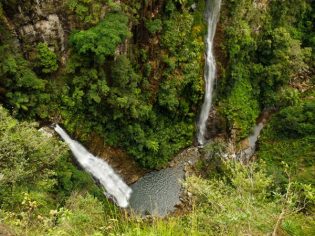 A Must-Read Lamington National Park Guide | Australian Traveller