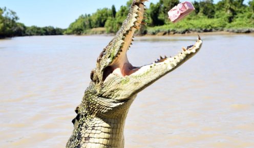 The Best Adventure Holidays in Australia