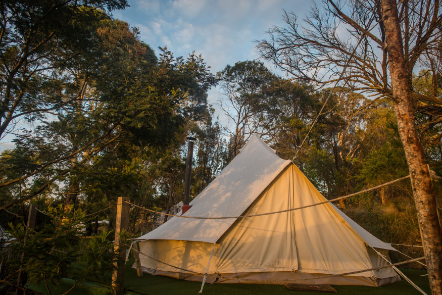 Inside Tasmania's Most Beautiful Road Trip