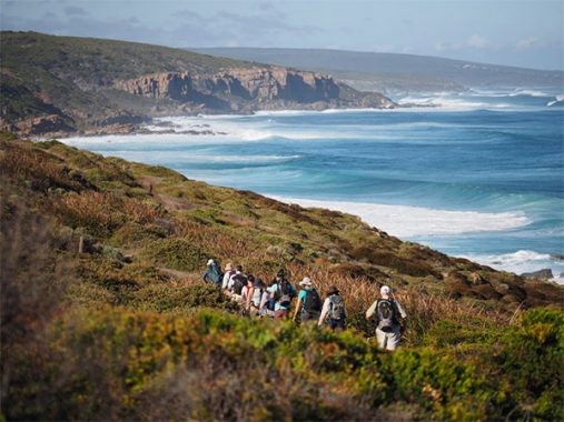 Australia's 24 Best Walking Holidays - Australian Traveller