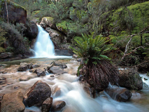 15 Unmissable Things To Do In Bright, Victoria - Australian Traveller