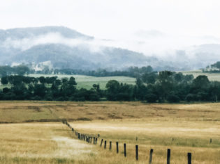 The Ultimate Hunter Valley Travel Guide | Australian Traveller