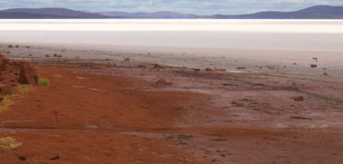 Eyre Peninsula Guide & Holiday Information