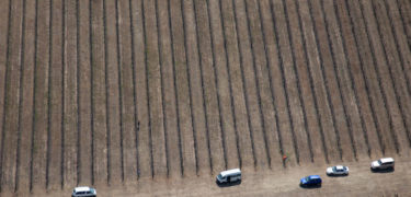 The Ultimate Guide to Your Next Trip to Mudgee