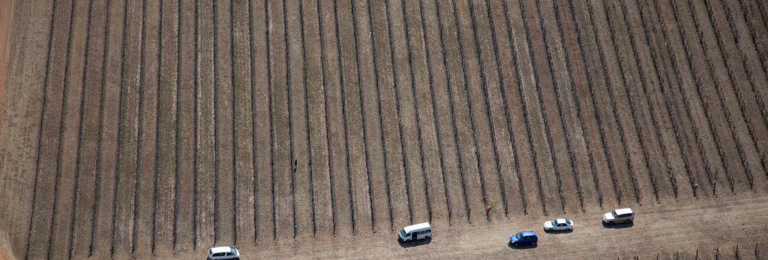 The Ultimate Guide to Your Next Trip to Mudgee - Australian Traveller