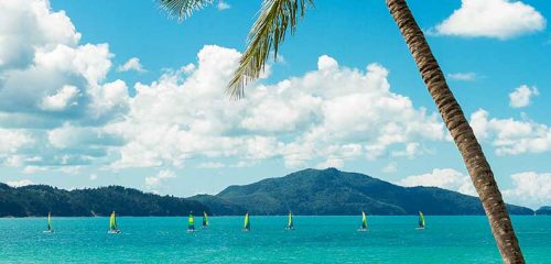 The Ultimate Guide to Your Next Hamilton Island Holiday