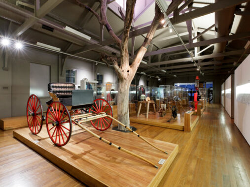 10 of the best things to do in Dubbo