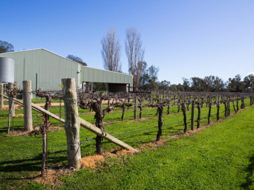 10 of the best things to do in Dubbo