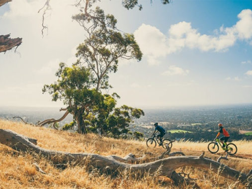 Best 8 Things To Do In Adelaide In Summer