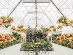 Top 12 Things To Do In Ballarat | Australian Traveller