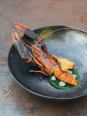 Outback luxury awaits at Mt Mulligan Lodge | Australian Traveller