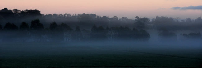 Bowral Holidays & Travel Guide | Australian Traveller