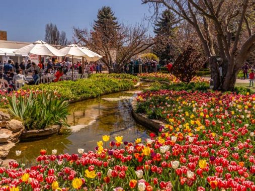 Top 11 things to do in Bowral | Australian Traveller