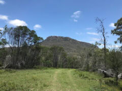 Mudgee Caravan Parks: Here's Everything You Need To Know
