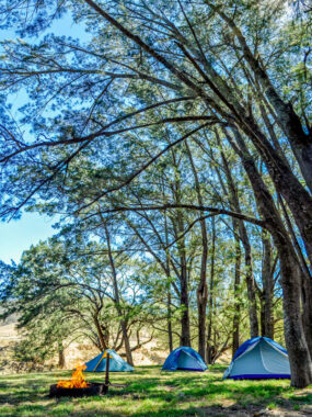 Mudgee Caravan Parks: Here's Everything You Need To Know