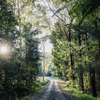 The Ultimate Tweed Holiday Guide: Explore The Coast, Valley & River