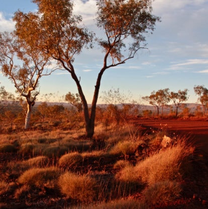 Pilbara Guide & Holiday Information
