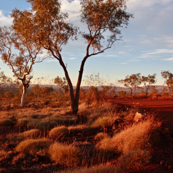 Pilbara Guide & Holiday Information