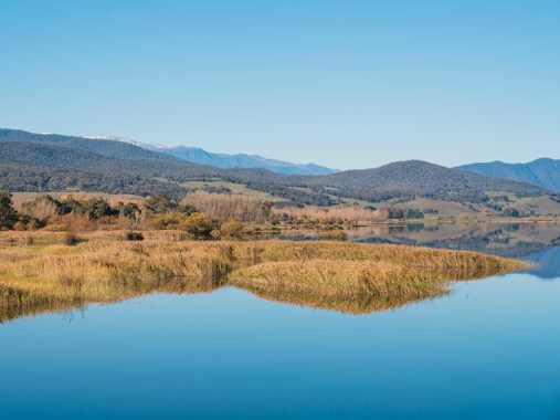 The NSW Riverina Holiday & Travel Guide: Where to eat, stay, & do