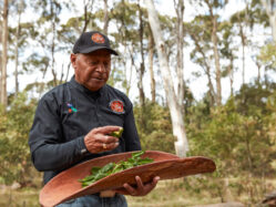 The 20 Best Things To Do In Orange | Australian Traveller