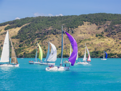 10 Things To Know Before You Visit Hamilton Island