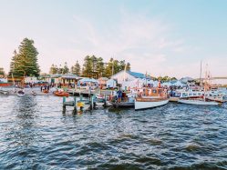 Adelaide Travel Guide & Holiday Information