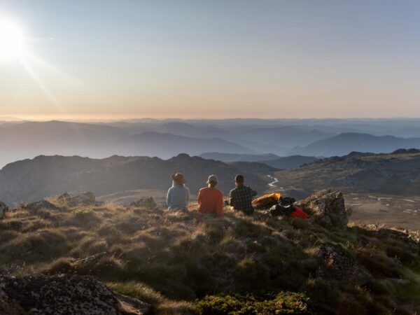 A Thrill Seeker's Guide To Thredbo MTB - Australian Traveller