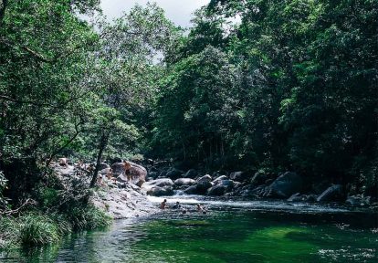 Tropical North QLD Guide & Holiday Information