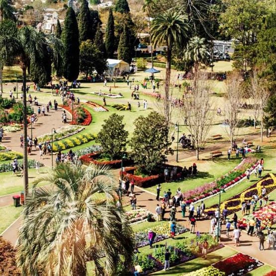 The Ultimate Toowoomba Holiday & Travel Guide