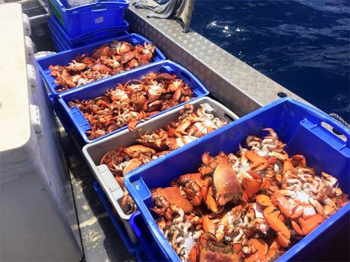 Where to find the best fish and chips around Australia