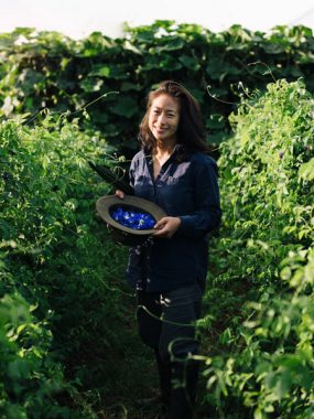 Australia on a plate: what the food we eat reveals about who we are