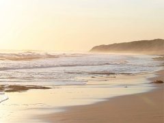 Grab your swimmers and explore this 4.5 kilometre stretch of ...